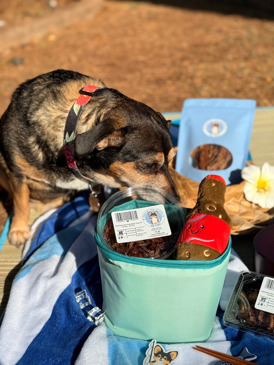 Churro's Fish Market: Hawaiian Dog Treats – Churro's Fish Market